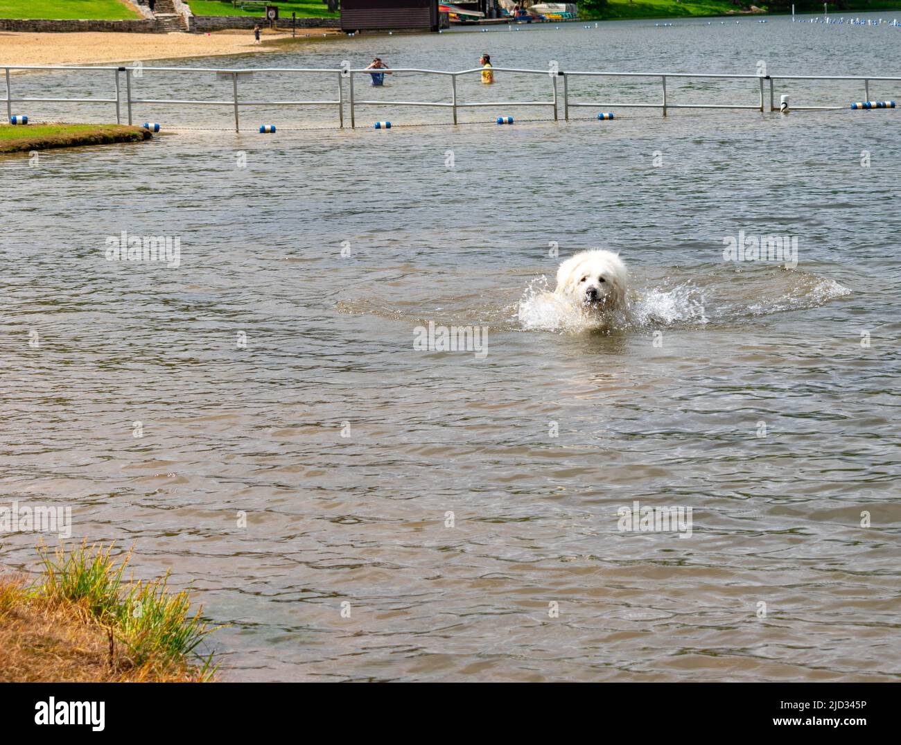 Pyrenees camping hi-res stock photography and images - Alamy