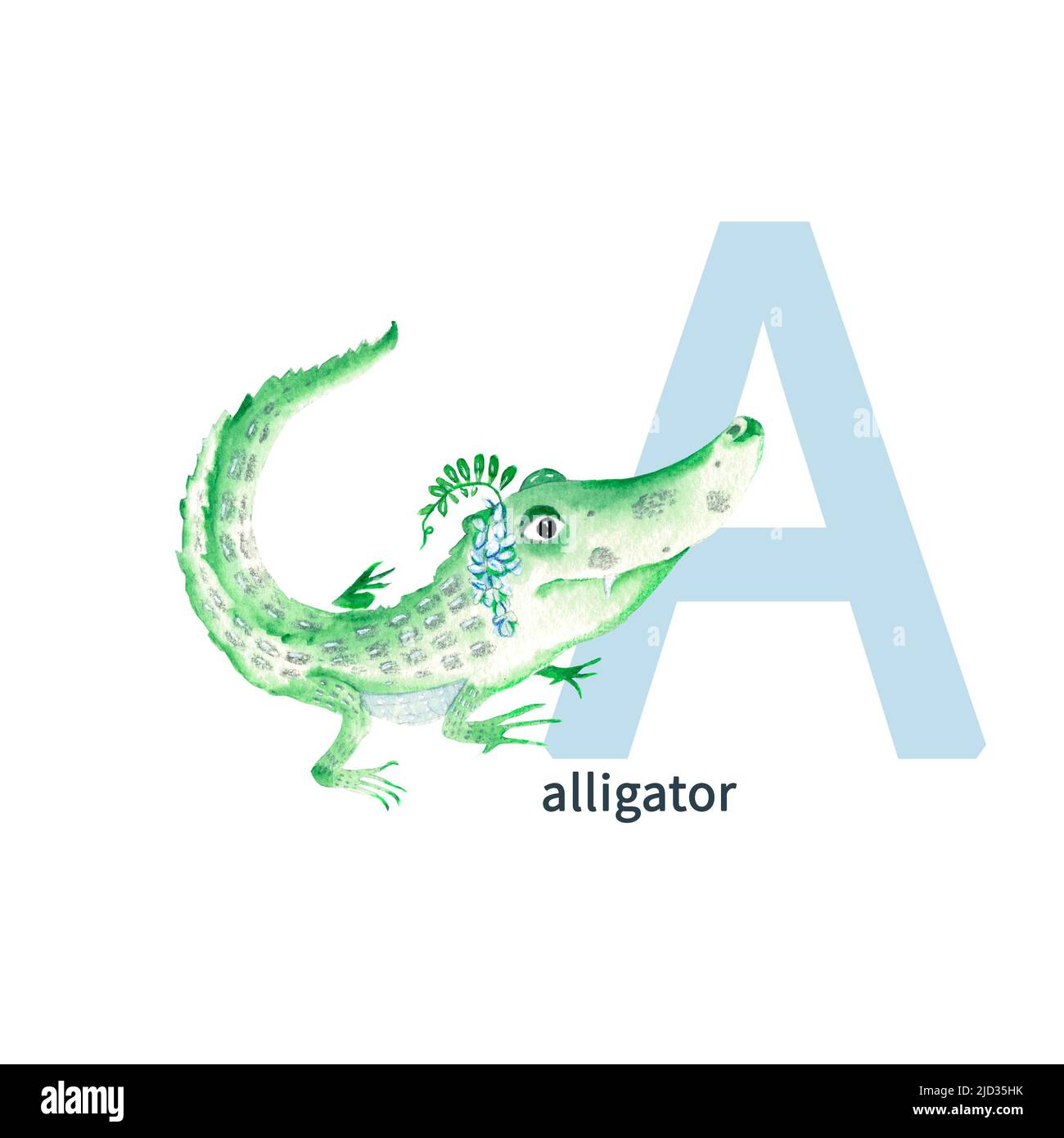 Letter A, alligator, cute kids colorful animals ABC alphabet ...
