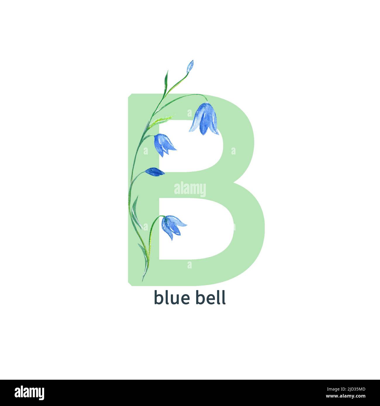 Letter B, blue bell, ABC botanical alphabet. Watercolor illustration ...