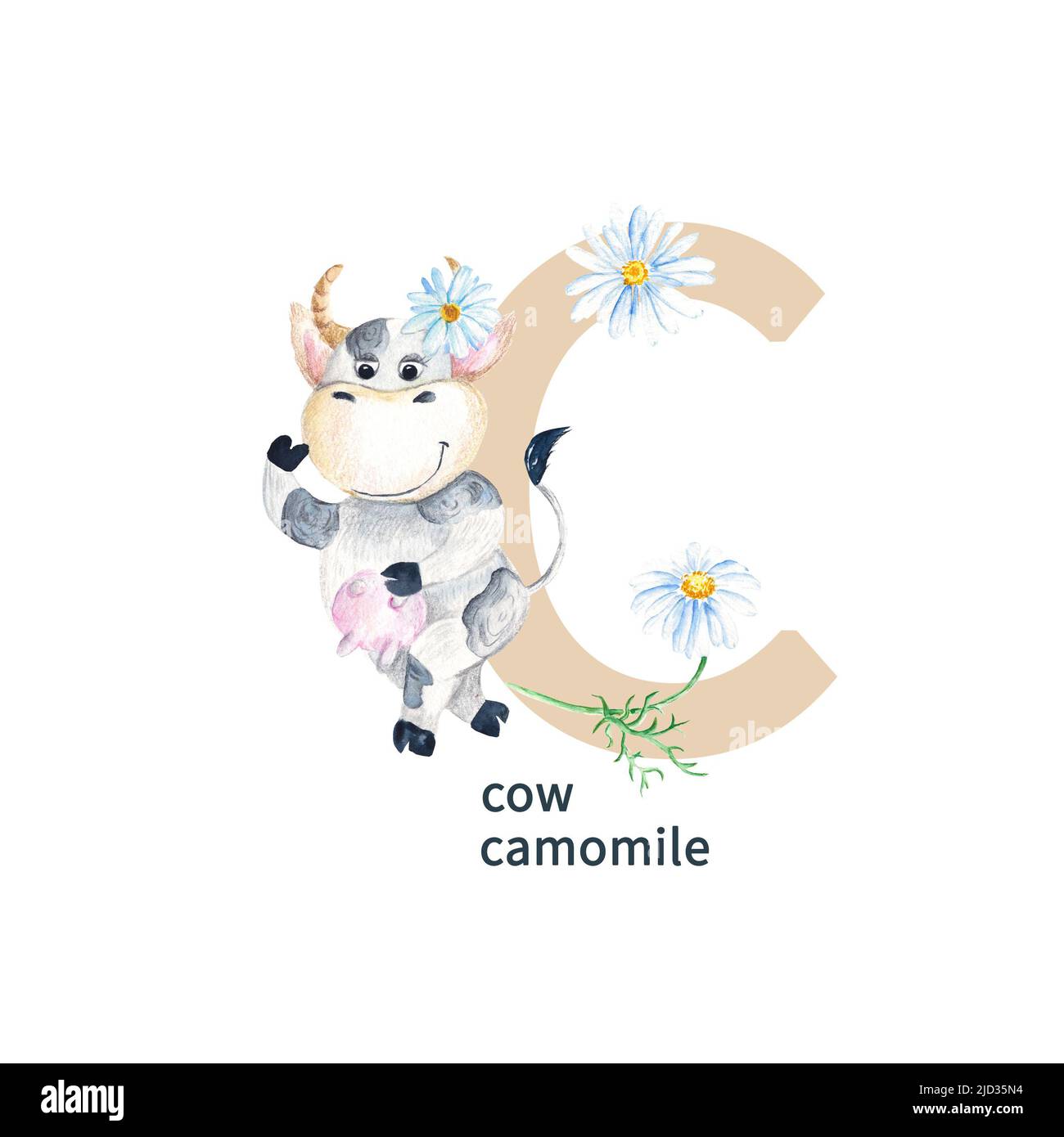 Letter C, cow, camomile, cute kids colorful animals and flowers ABC ...