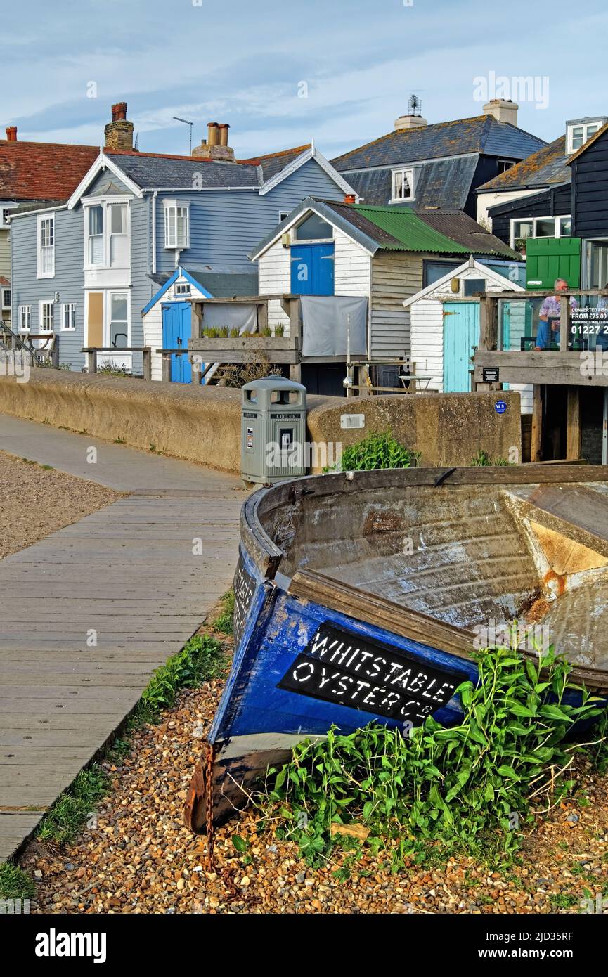 UK, Kent, Whitstable Seafront , Whitstable Oyster Company Boat Stock ...