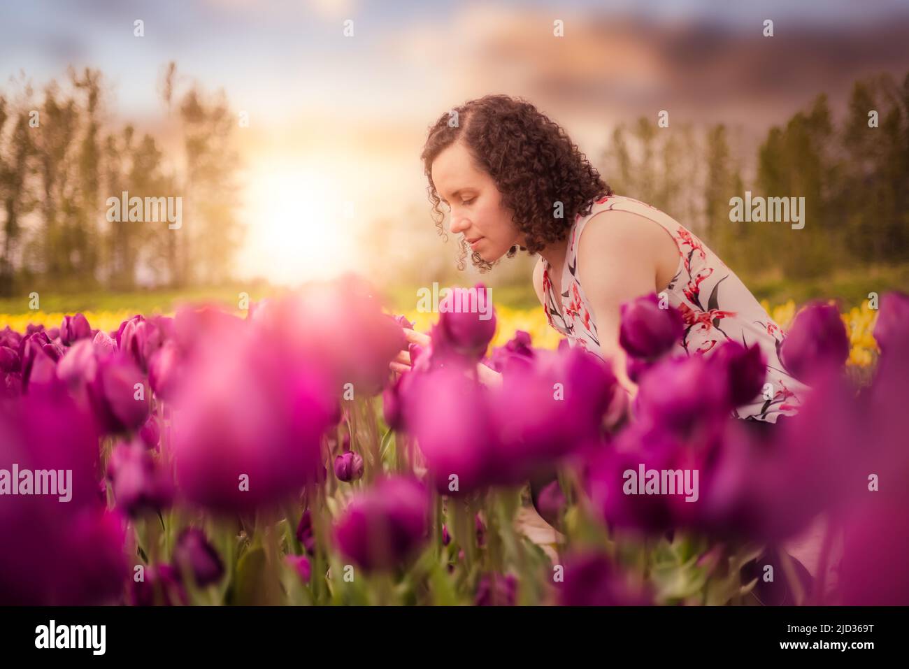 Woman smelling fresh blooming hi-res stock photography and images - Alamy