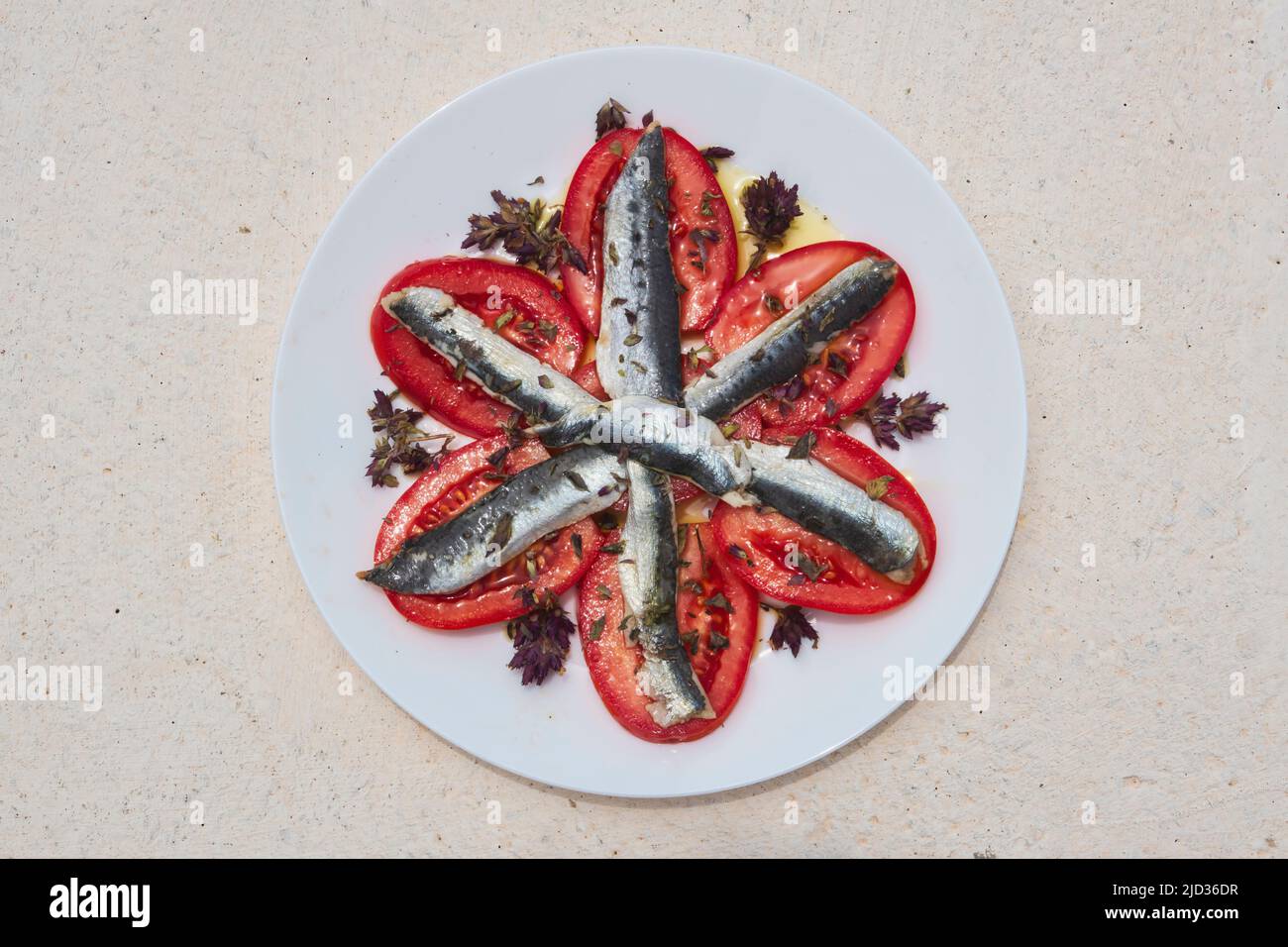 Sardine fillets on tomato slices on a dish isolated on white background ...