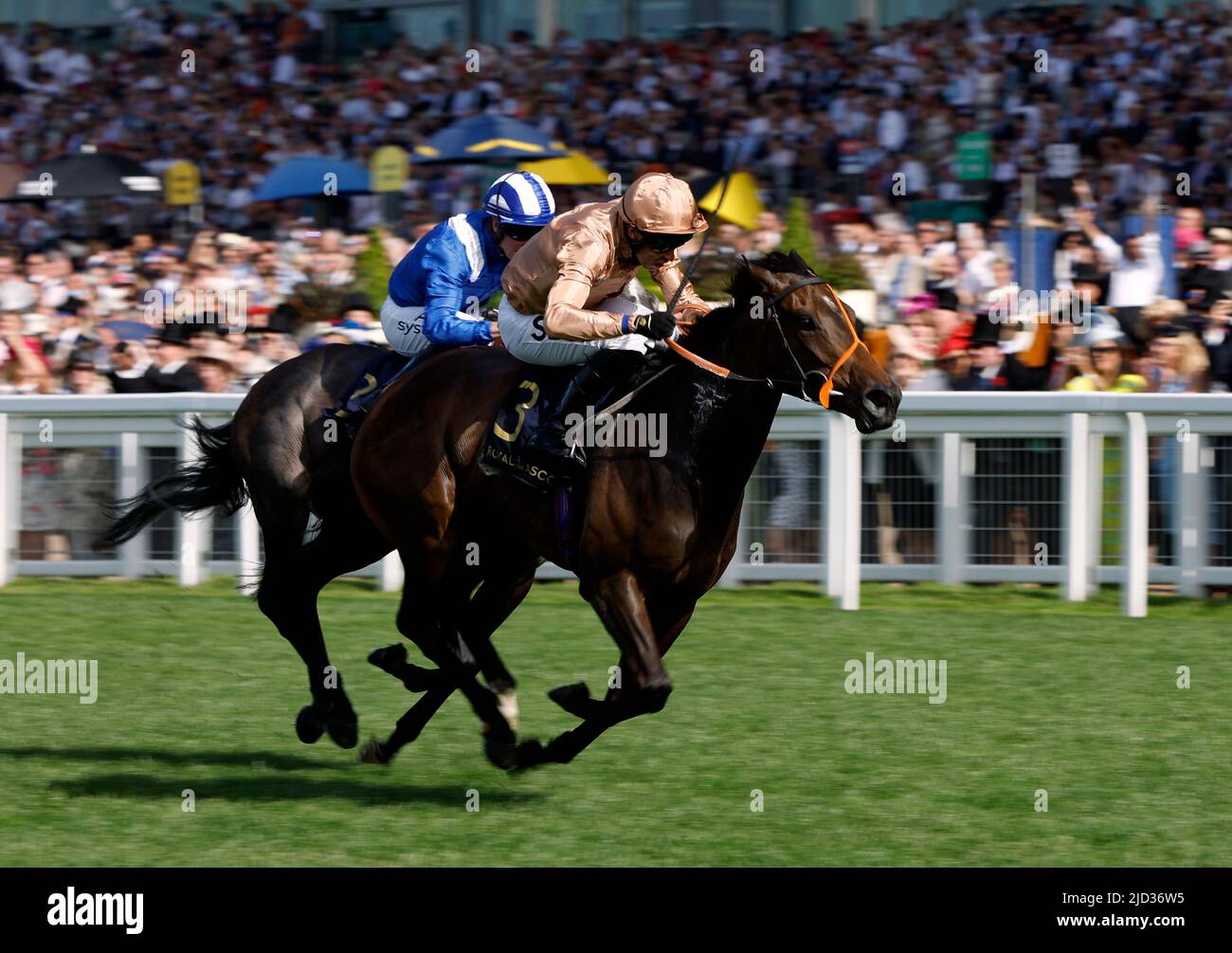 Heredia horse hi-res stock photography and images - Alamy