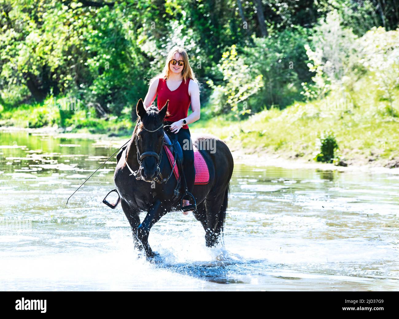 riding girl are training her black horse in a river Stock Photo - Alamy
