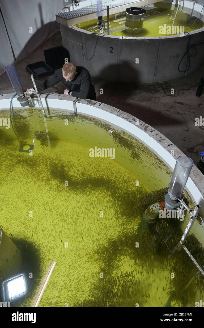 Land based fish farming hi-res stock photography and images - Alamy