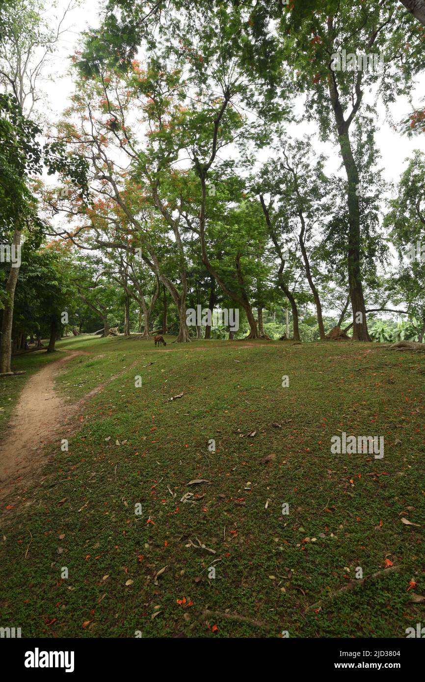 The ancient mound of Chandraketugarh or king Chandraketu's fortified ...