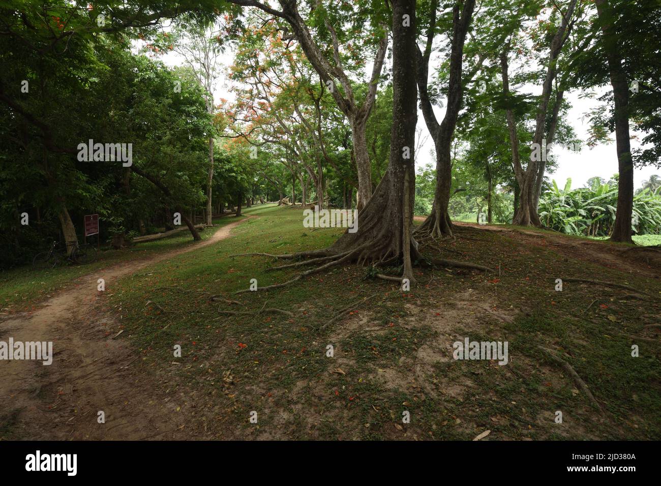 The ancient mound of Chandraketugarh or king Chandraketu's fortified ...