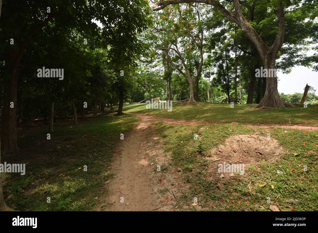 The ancient mound of Chandraketugarh or king Chandraketu's fortified ...