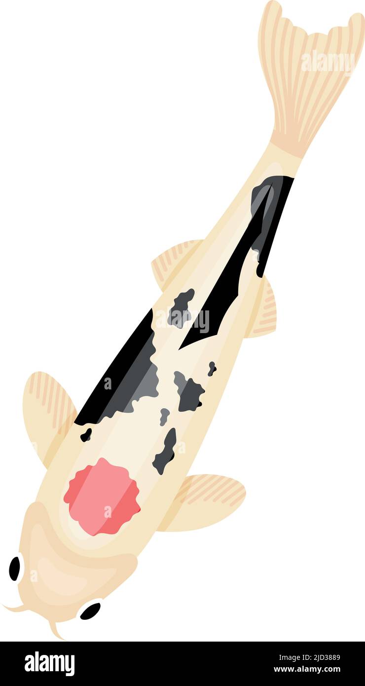 Oriental fish. Zen pond carp top view Stock Vector Image & Art - Alamy