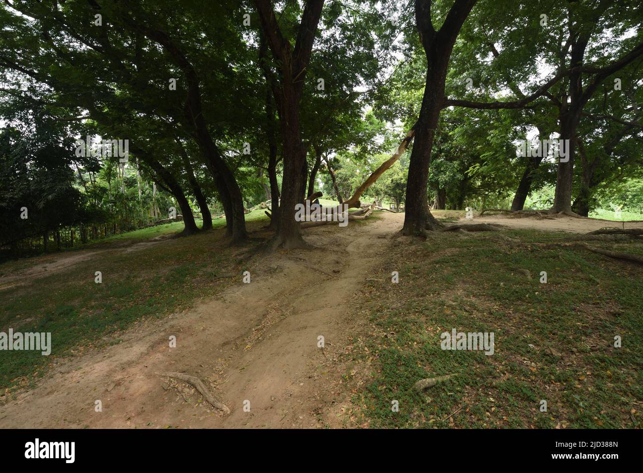 The ancient mound of Chandraketugarh or king Chandraketu's fortified ...