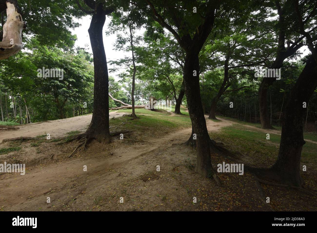 The ancient mound of Chandraketugarh or king Chandraketu's fortified ...