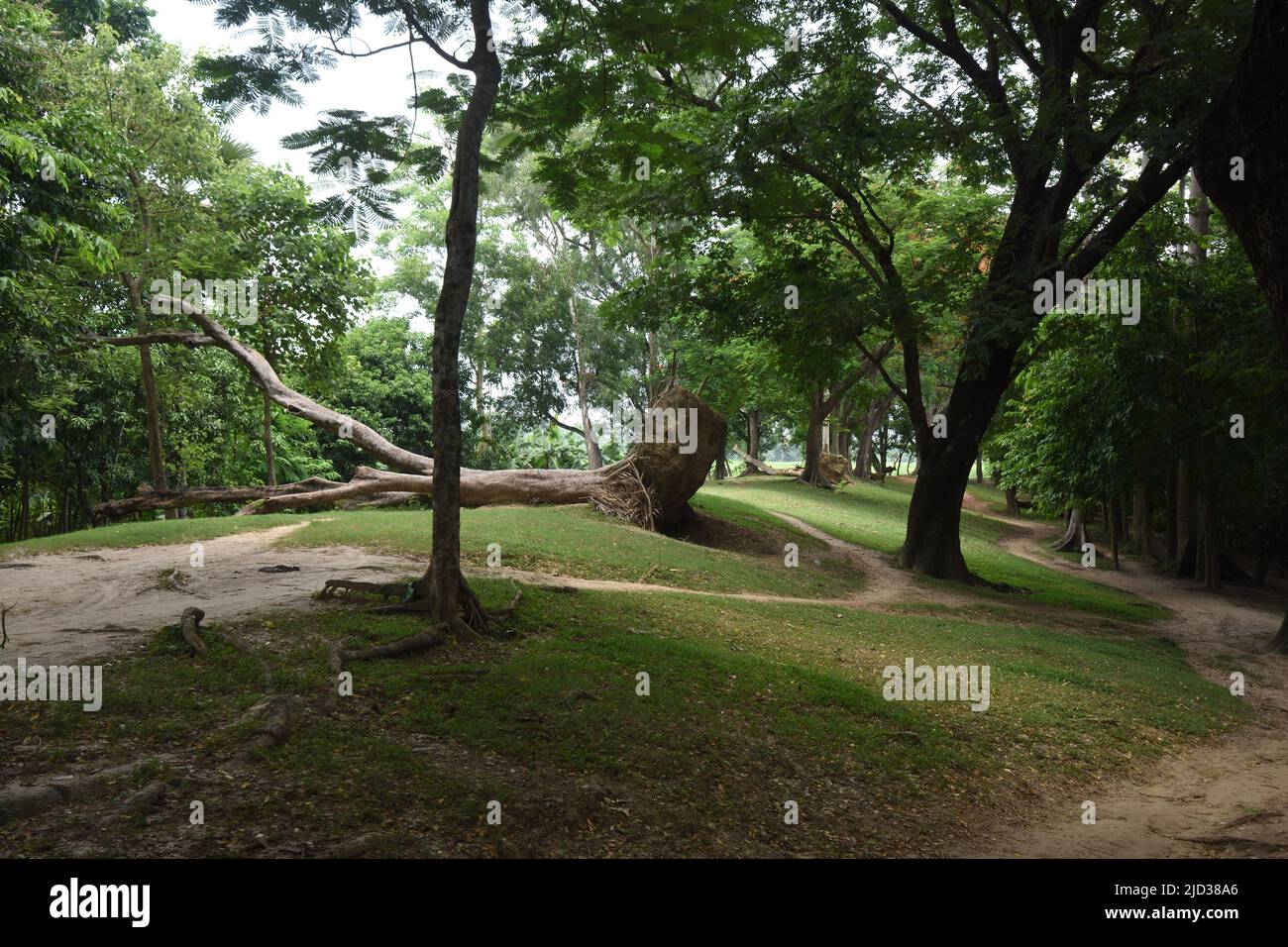 The ancient mound of Chandraketugarh or king Chandraketu's fortified ...