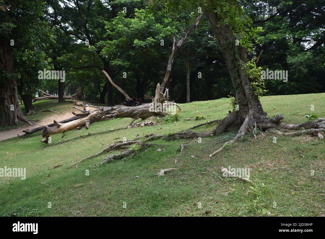 The ancient mound of Chandraketugarh or king Chandraketu's fortified ...