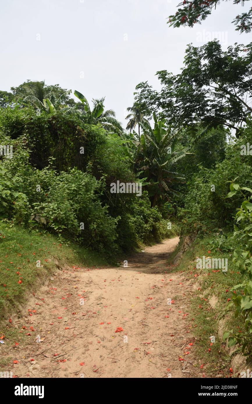 The ancient mound of Chandraketugarh or king Chandraketu's fortified ...