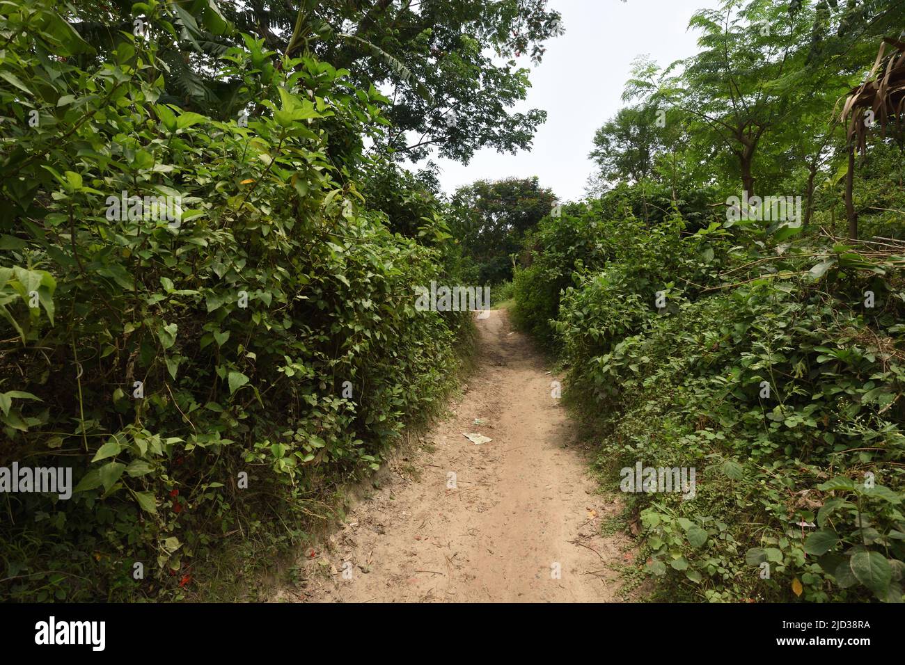 The ancient mound of Chandraketugarh or king Chandraketu's fortified ...