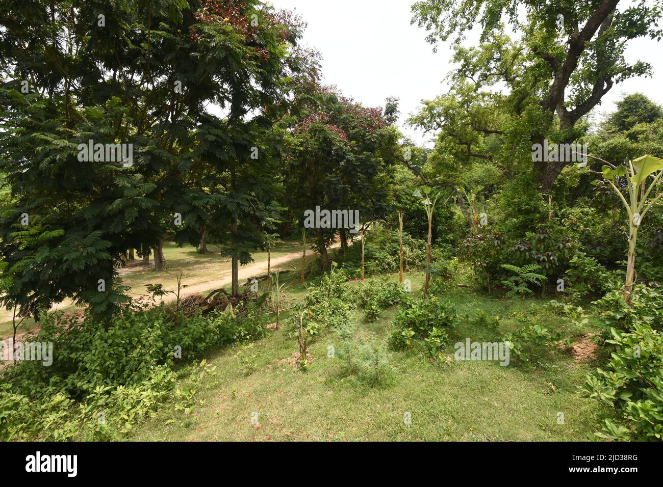 The ancient mound of Chandraketugarh or king Chandraketu's fortified ...