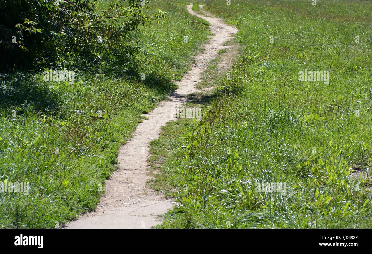 path in park at dry sunny summer day Stock Photo - Alamy