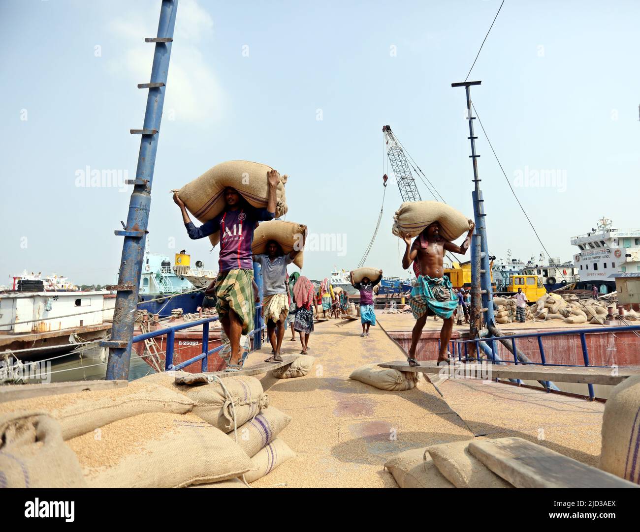 Workers are unloading wheat from Canada.Workers unload the cargo In the ...