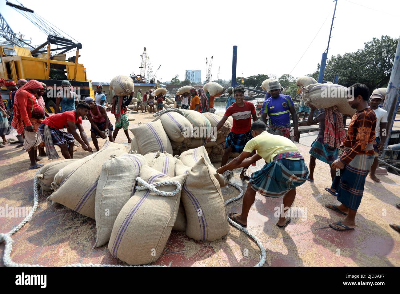 Workers are unloading wheat from Canada.Workers unload the cargo In the ...