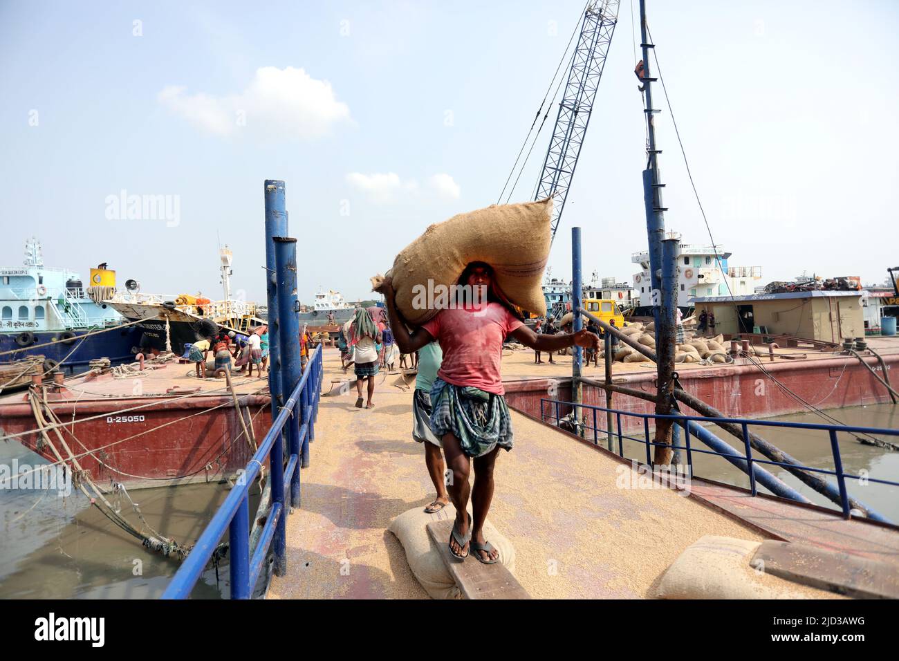 Workers are unloading wheat from Canada.Workers unload the cargo In the ...