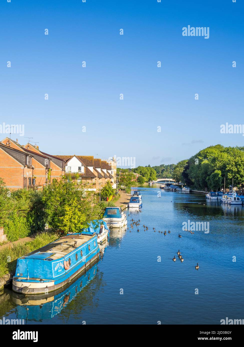 Early Summer Morning, River Thames, Reading, Berkshire, England, UK, GB ...