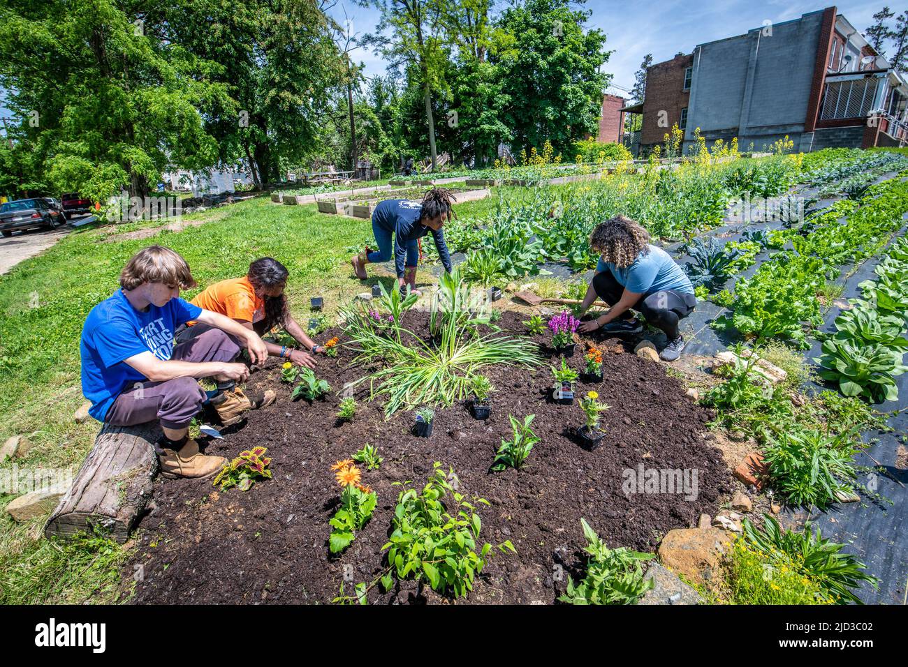 Urban Farming in Baltimore, United States Stock Photo - Alamy