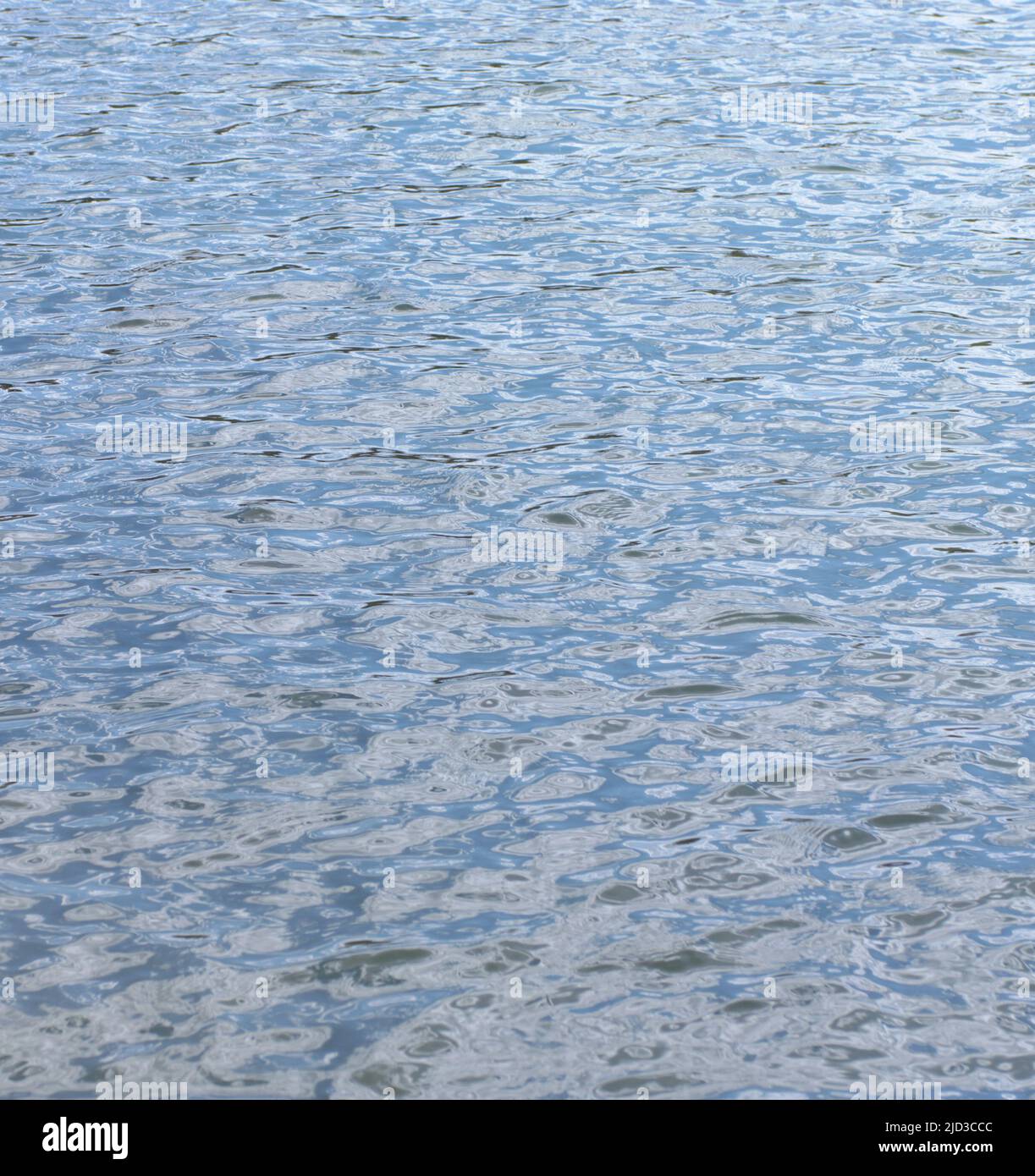 ripple on water in city park pond at dry sunny summer day Stock Photo ...
