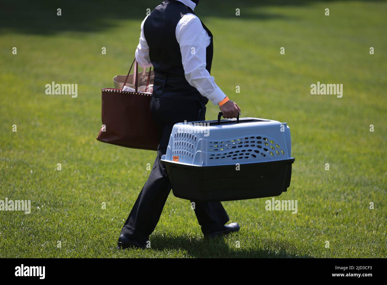 Washington, USA. 17th June, 2022. "Willow" the Biden's cat is taken to ...