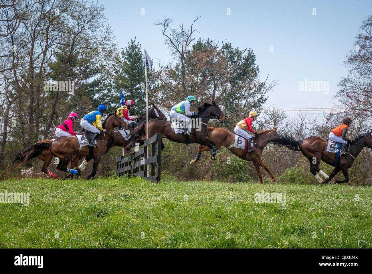 Manor Races 2022 Stock Photo - Alamy