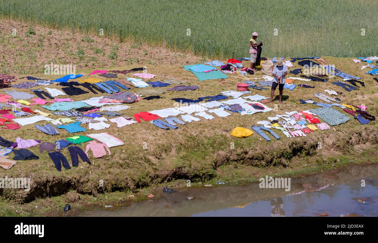 Klestork hi-res stock photography and images - Alamy