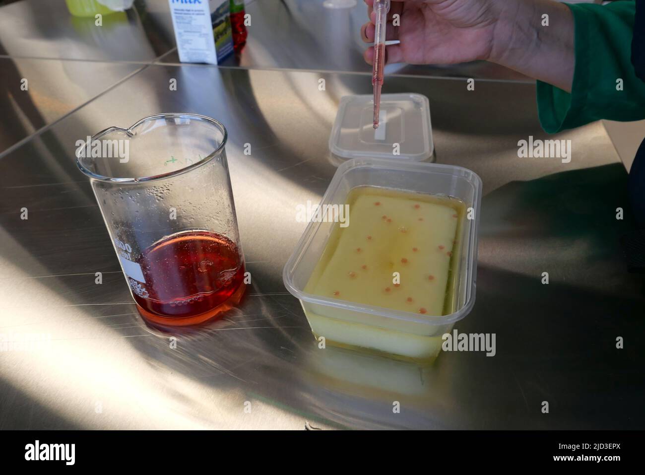 The Chemical Kitchen workshop consits of experiments that you will ...