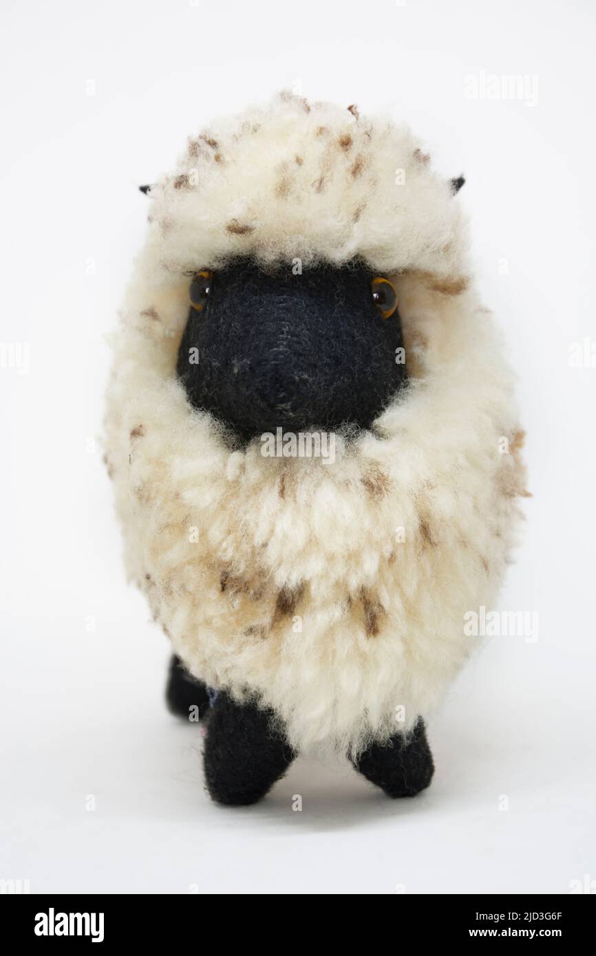 Real wool hi-res stock photography and images - Alamy
