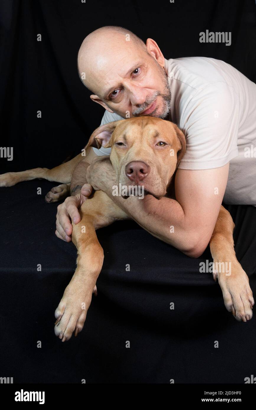 Portrait of a pitbull dog petting its owner against black background ...