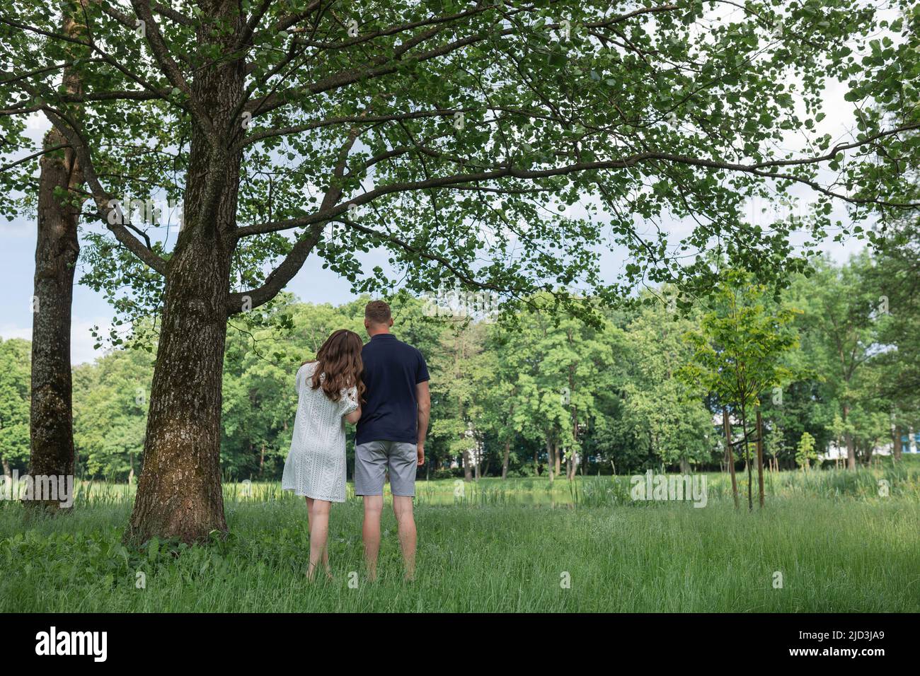 Rear View Of Romantic Couple Walking Through summer park among trees ...