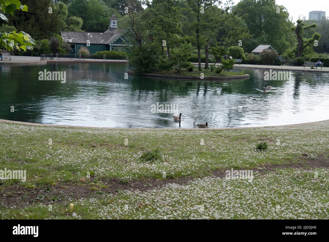 walk in the beautiful regents park in london,uk Stock Photo - Alamy