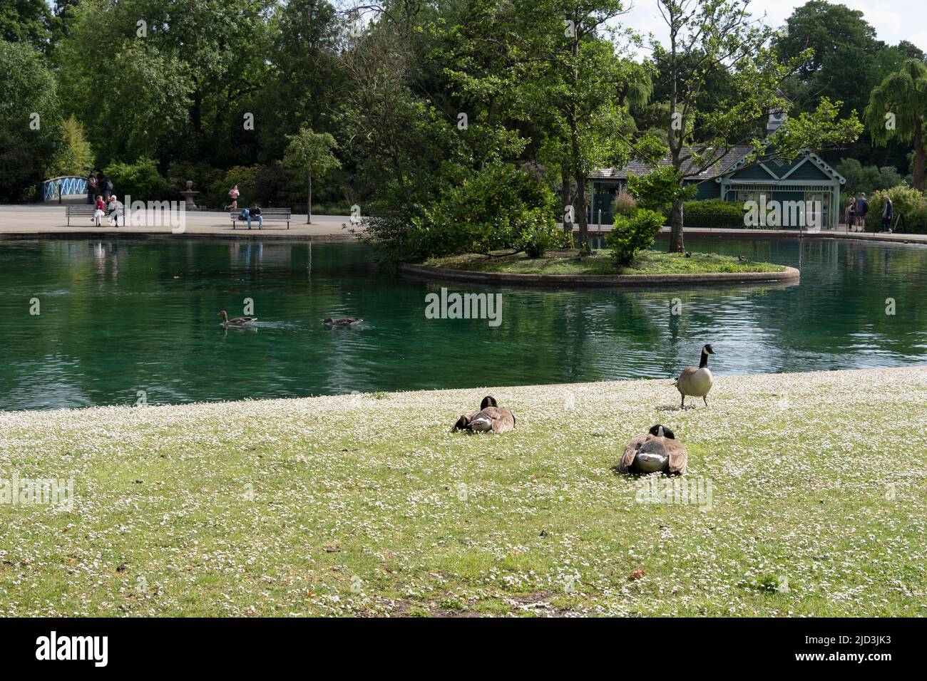 walk in the beautiful regents park in london,uk Stock Photo - Alamy
