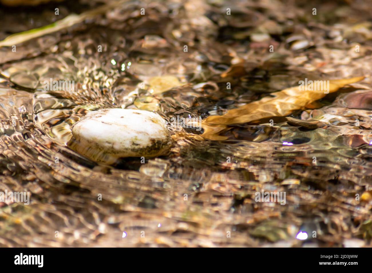 Stones in sparkling water with sunny reflections in water of a crystal ...