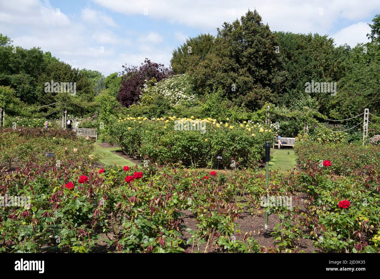 walk in the beautiful regents park in london,uk Stock Photo - Alamy