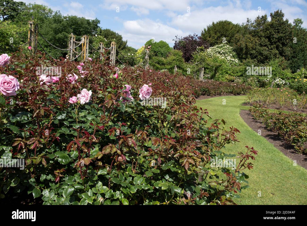 walk in the beautiful regents park in london,uk Stock Photo - Alamy