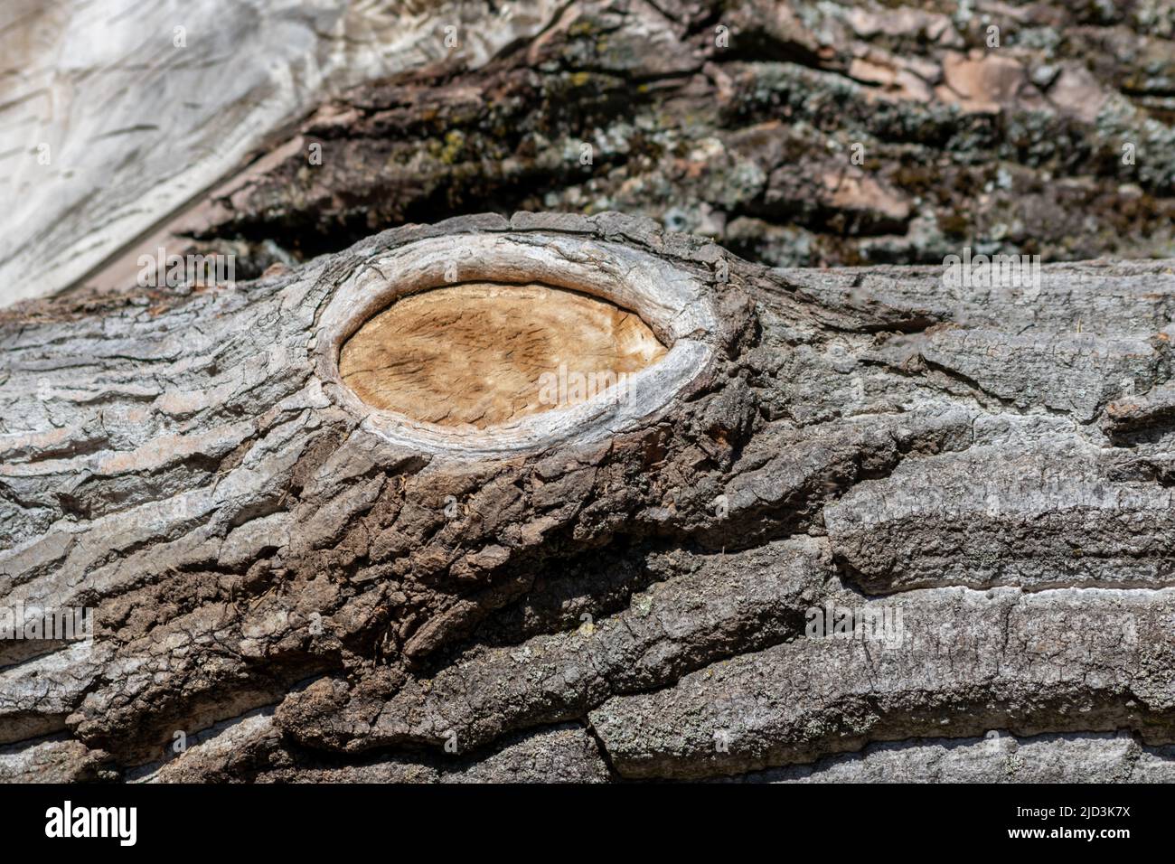 Natural structures hi-res stock photography and images - Alamy