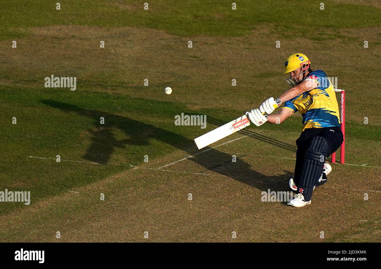 Cricket sam hain bears hi-res stock photography and images - Alamy