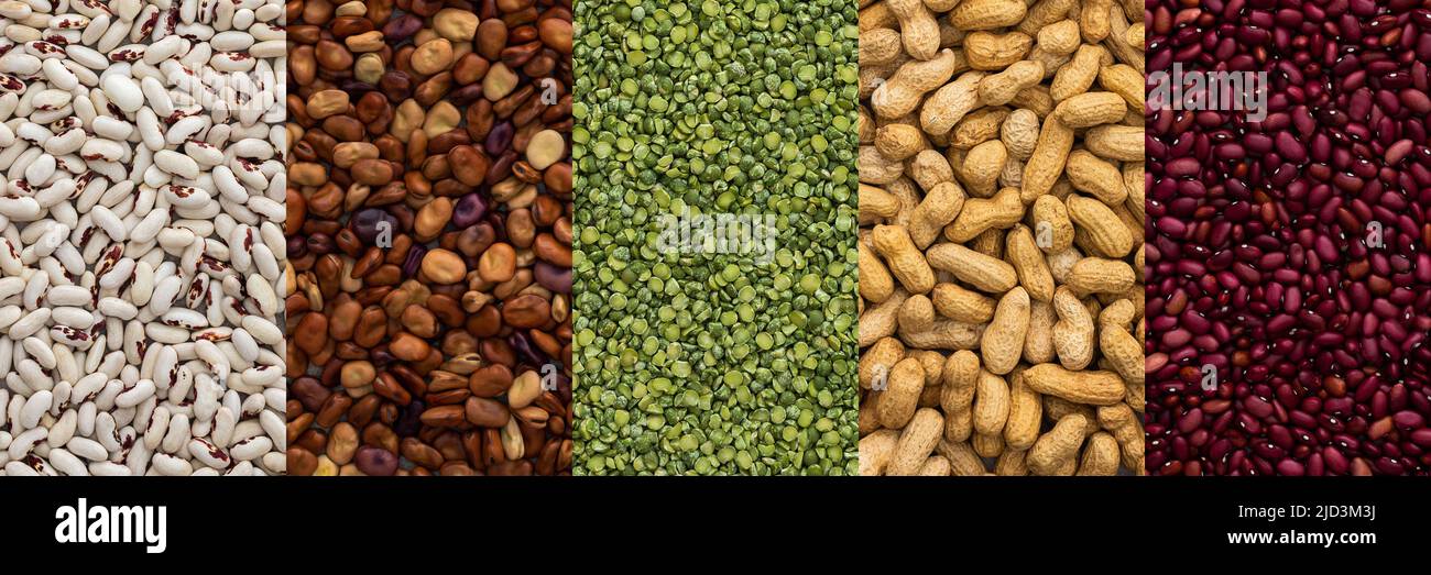 Different types of legumes banner, green peas and peanuts, red, white ...