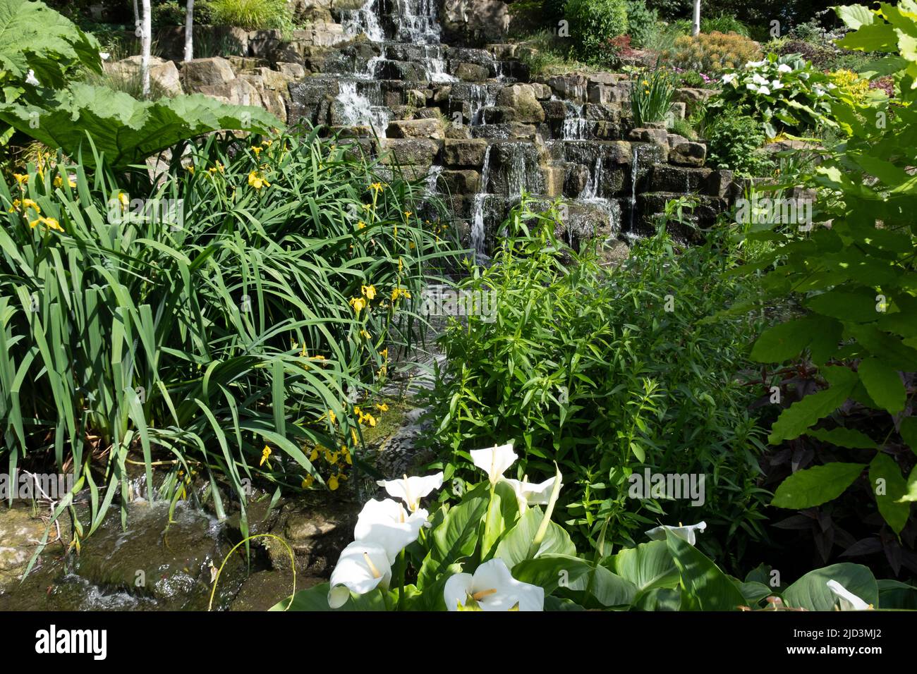 walk in the beautiful regents park in london,uk Stock Photo - Alamy