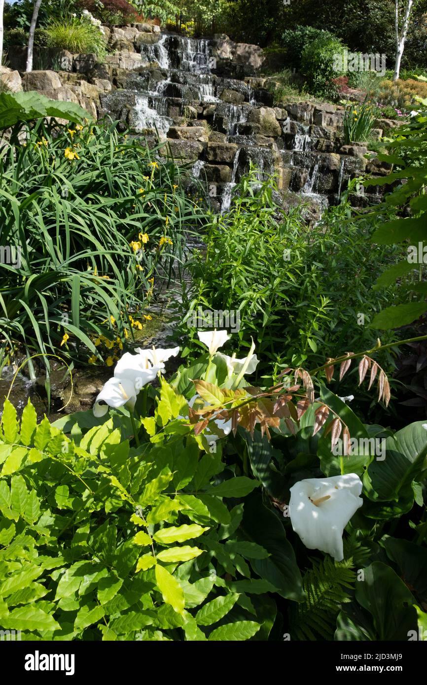 walk in the beautiful regents park in london,uk Stock Photo - Alamy