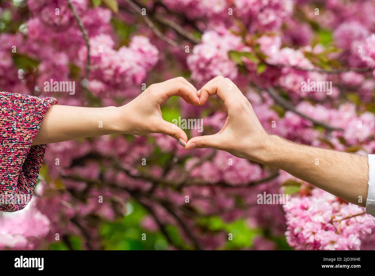 Hands, heart, couple. Closeup of couple making heart shape with hands ...