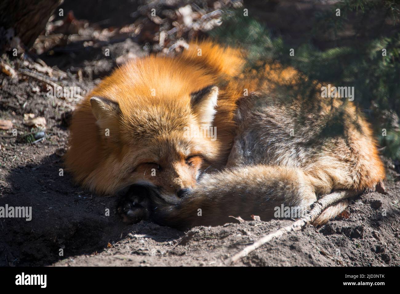 Reposing outdoors hi-res stock photography and images - Alamy