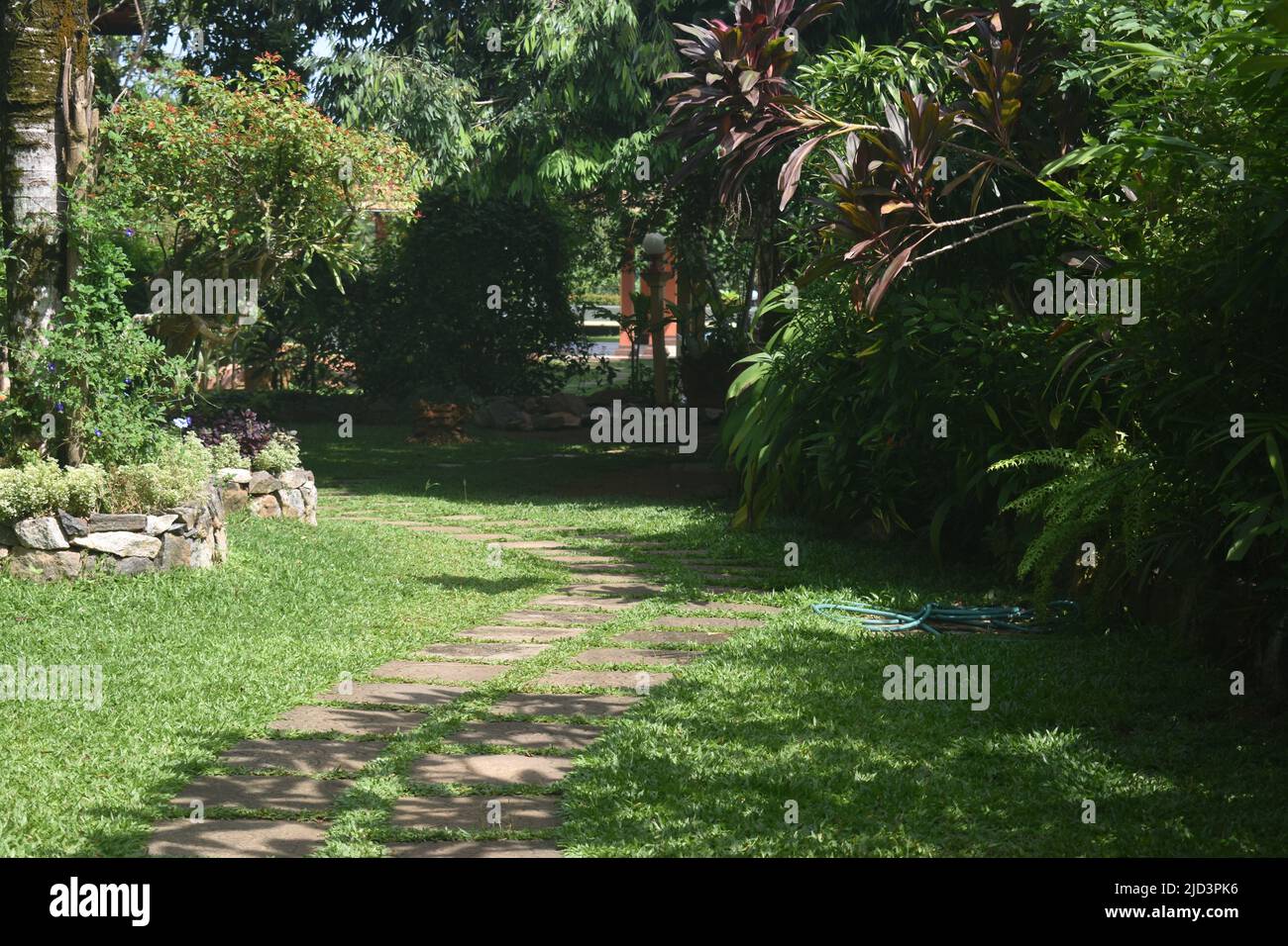 A landscaped garden with herbal trees, flowers, fruit trees, ponds ...