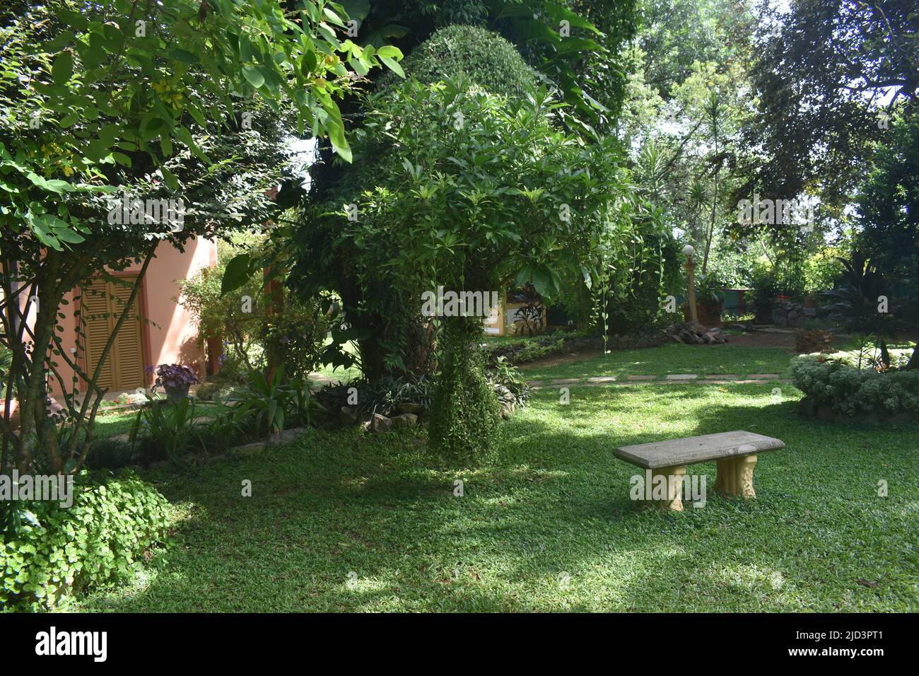 A landscaped garden with herbal trees, flowers, fruit trees, ponds ...
