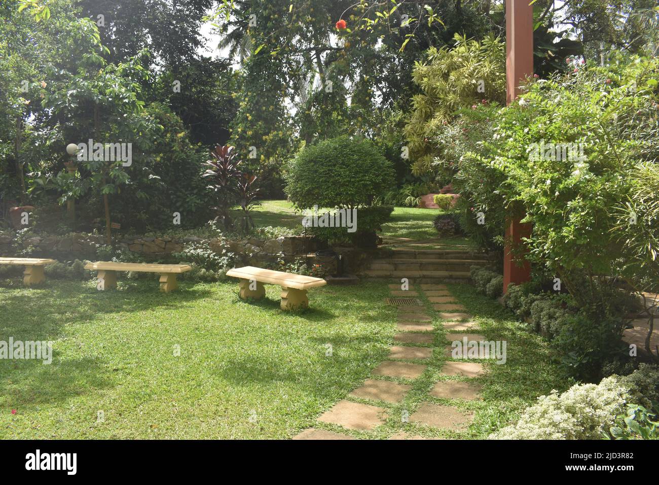 A landscaped garden with herbal trees, flowers, fruit trees, ponds ...